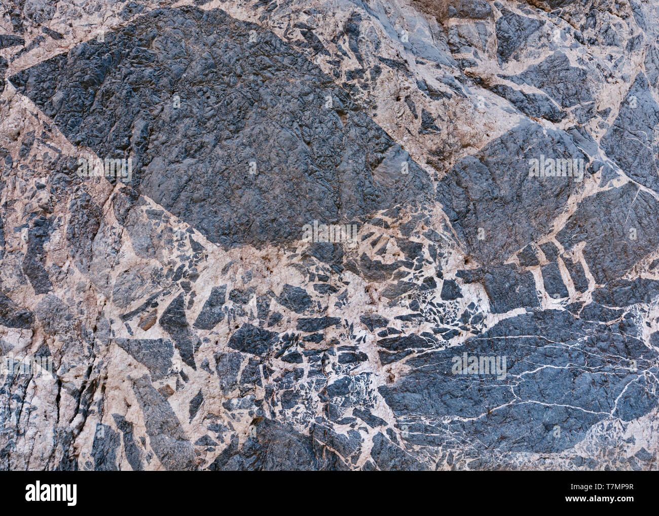 Large conglomerate in Titus Canyon Stock Photo - Alamy