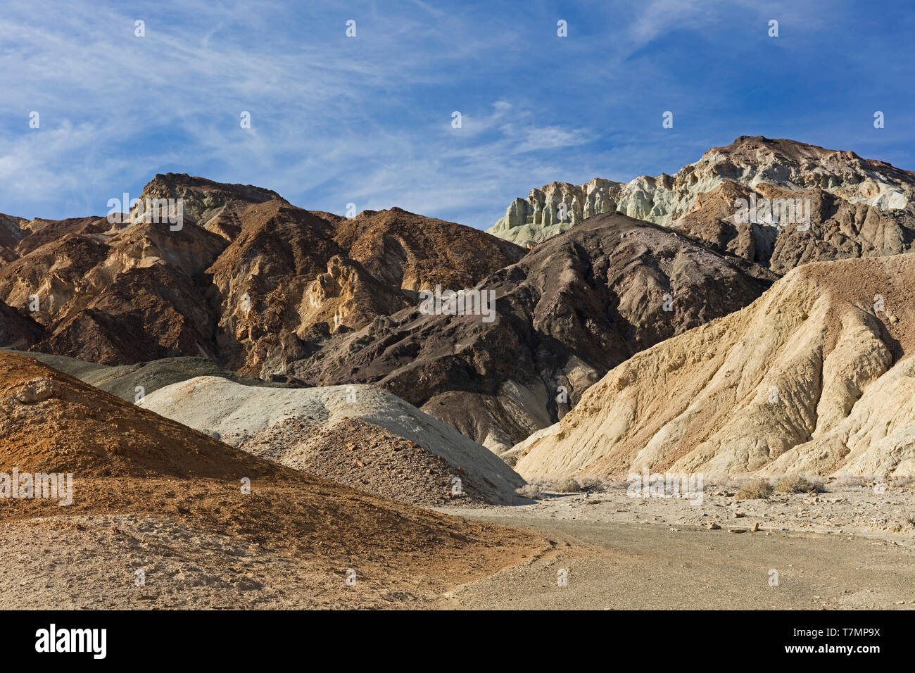 20 mule team hi-res stock photography and images - Alamy