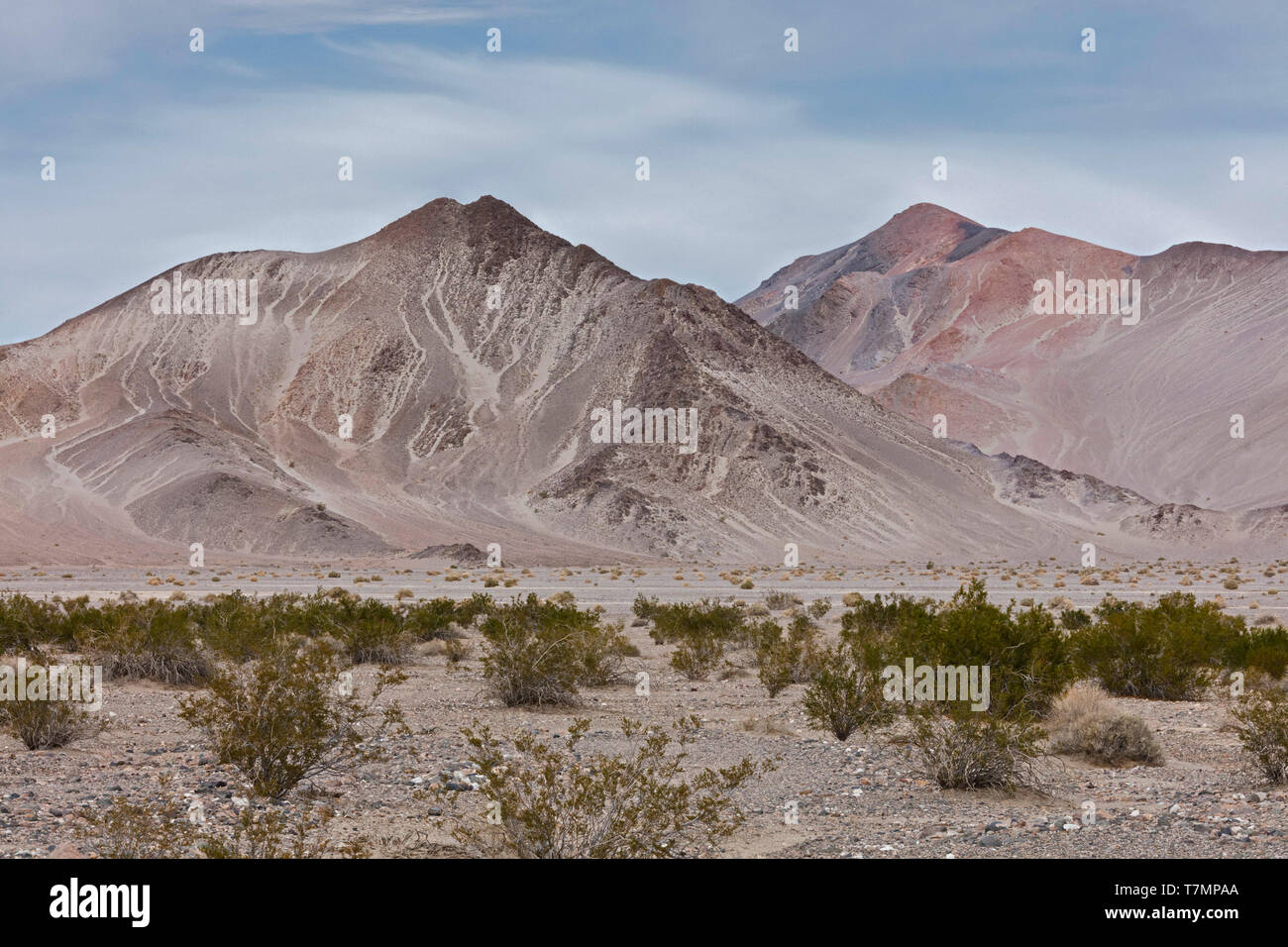 Harry Wade Road High Resolution Stock Photography and Images - Alamy