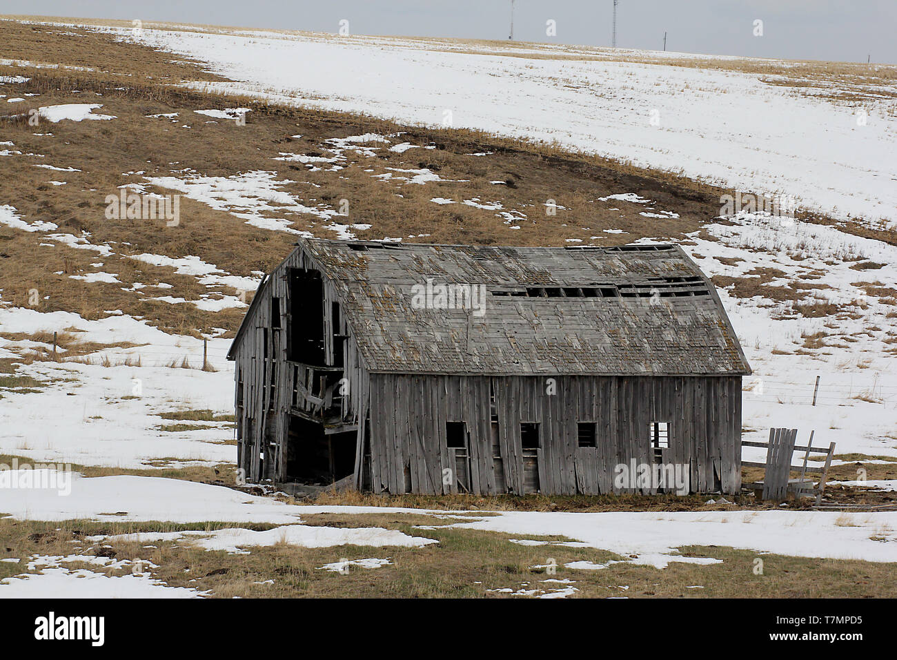 Old barns in Alberta, Canada dot the prairies reminiscent of bygone ...