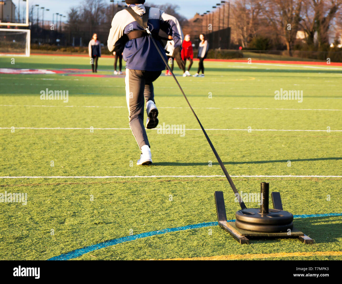 Track and field sprinter pulling a weighted sled on a green turf field ...