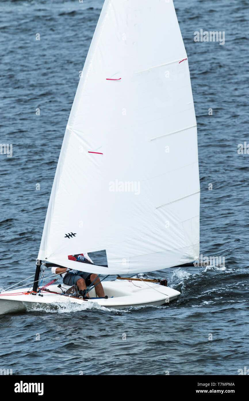 Sunfish Sailboat Racing