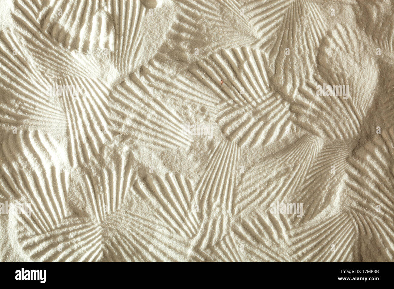 Shell patterns in the sand Stock Photo - Alamy