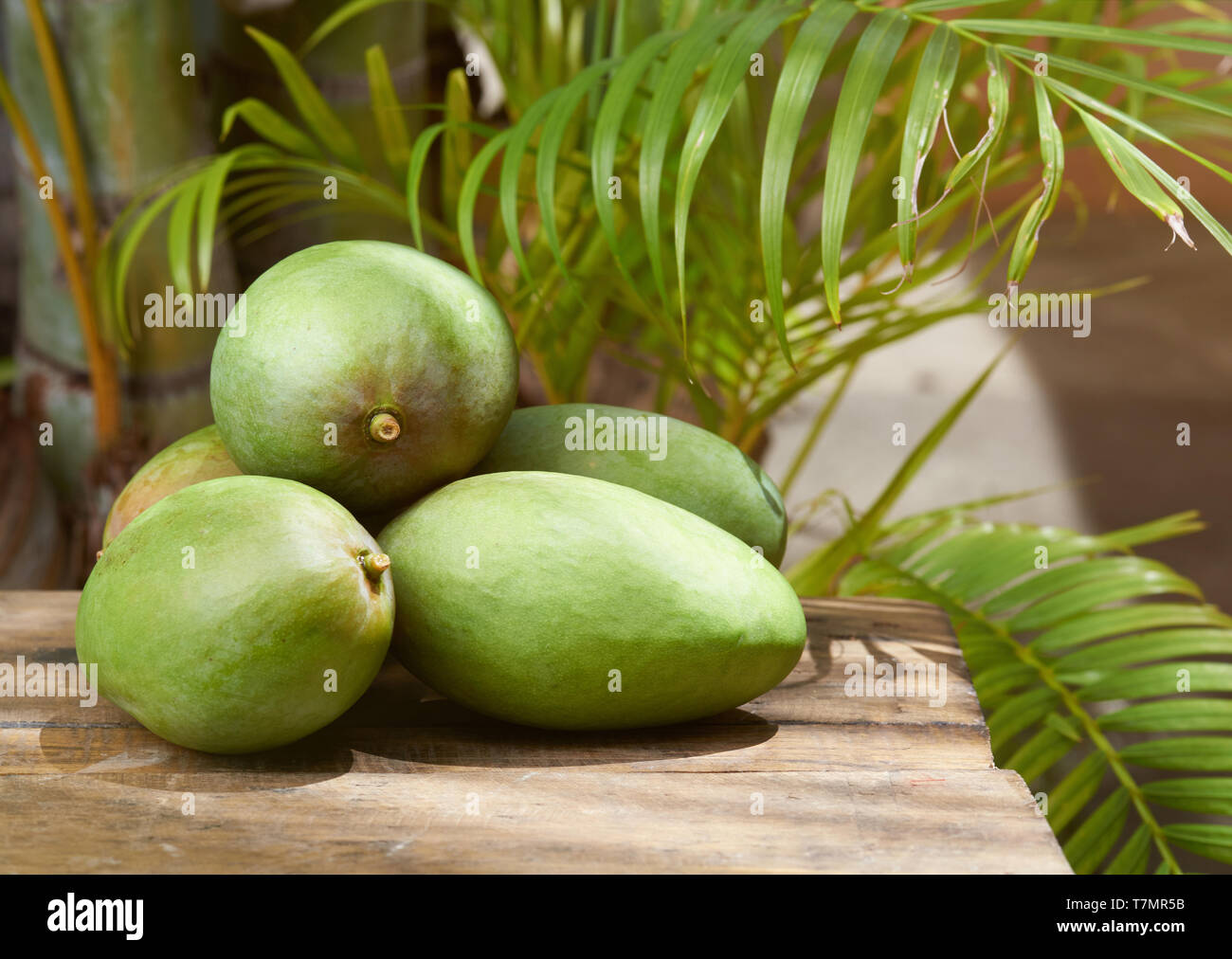 Table of mangoes hi-res stock photography and images - Alamy