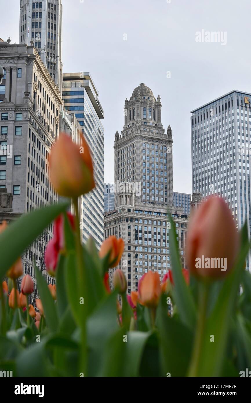 Chicago summer streetscape hi-res stock photography and images - Alamy