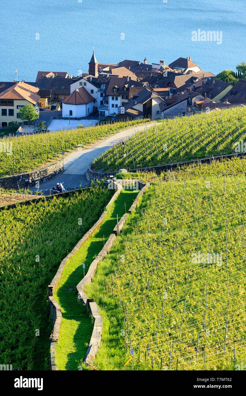 Geneva switzerland landscape vertical hi-res stock photography and ...