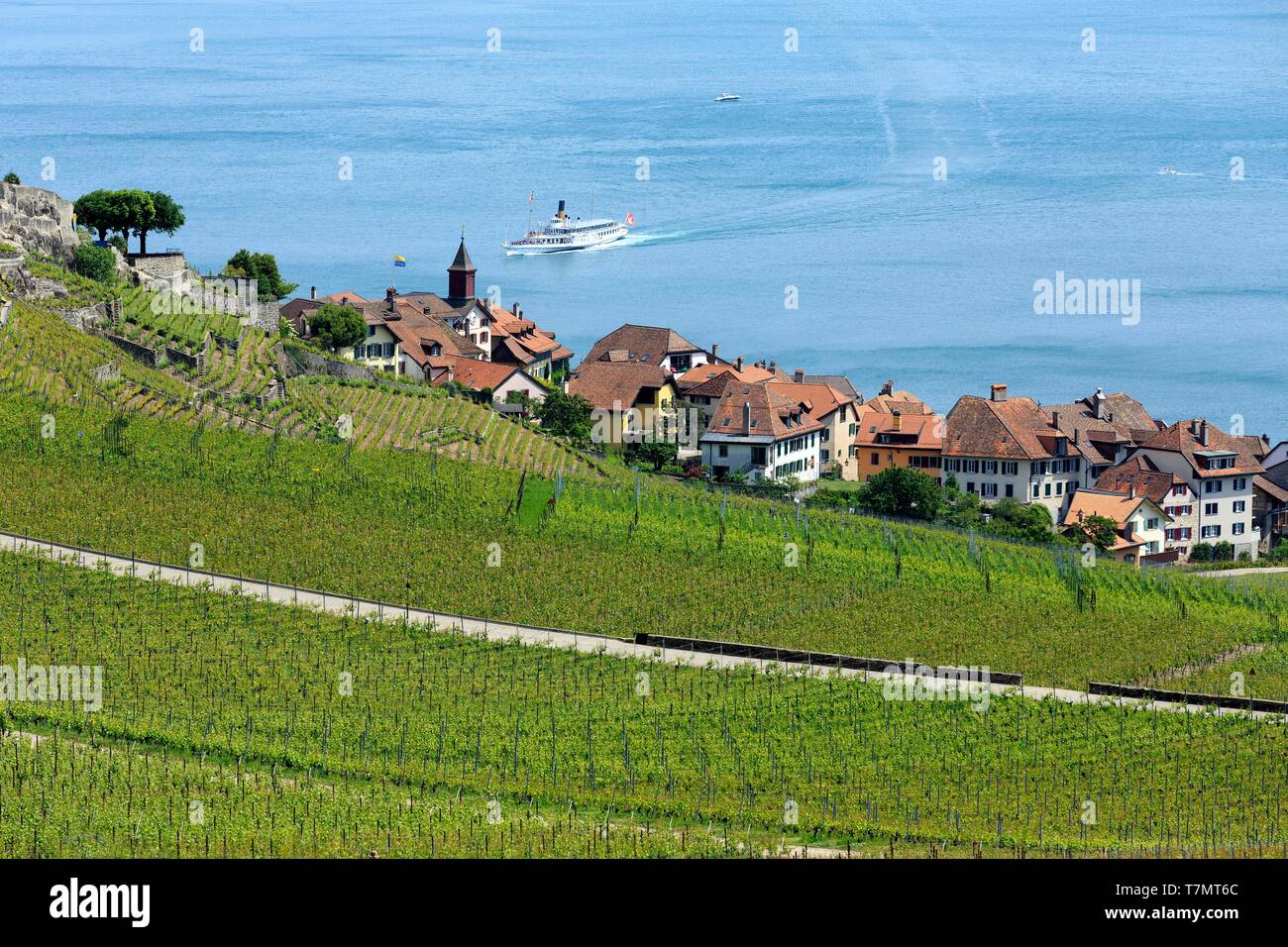 Switzerland, canton of Vaud, Lake Geneva, District Lavaux Oron ...