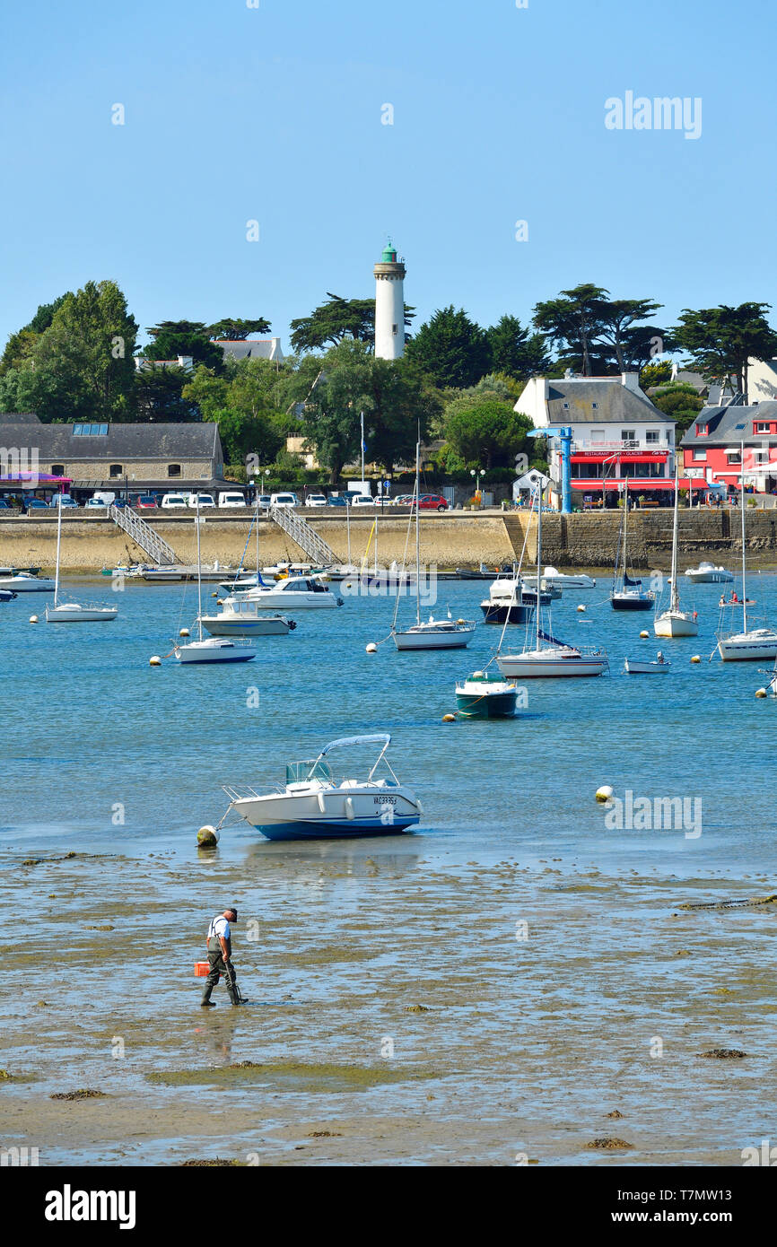 France, Morbihan, Gulf of Morbihan, Regional Natural Park of the Gulf ...