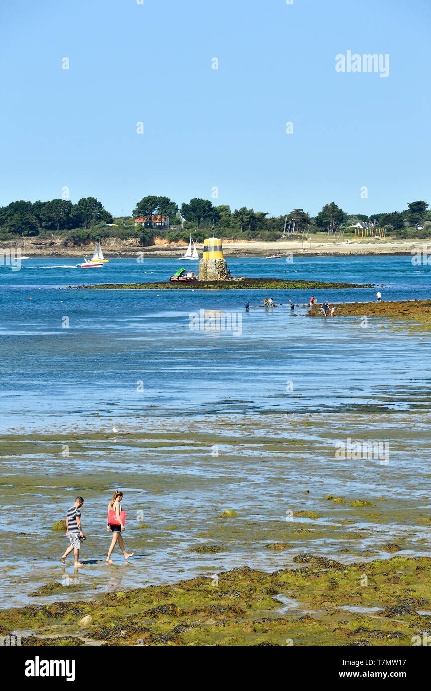 France, Morbihan, Gulf of Morbihan, Regional Natural Park of the Gulf ...