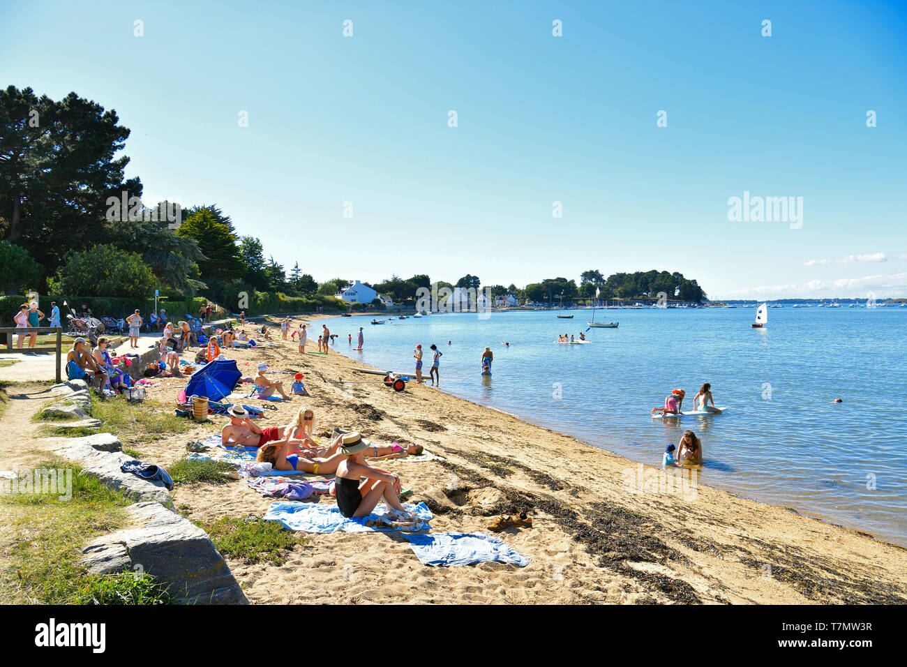 France, Morbihan, Gulf of Morbihan, Regional Natural Park of the Gulf ...