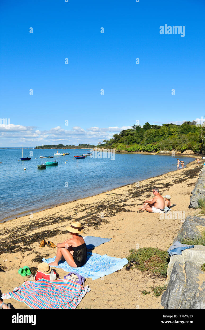 France, Morbihan, Gulf of Morbihan, Regional Natural Park of the Gulf ...