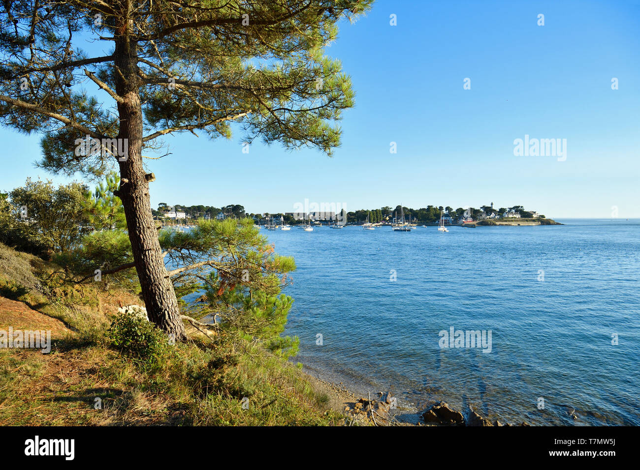 France, Morbihan, Gulf of Morbihan, Regional Natural Park of the Gulf ...