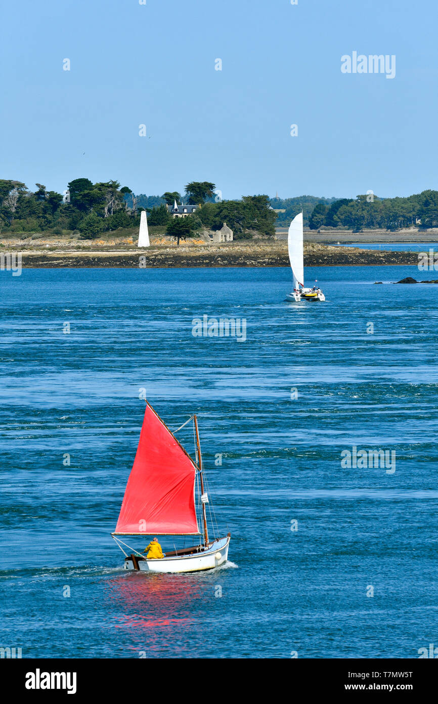 France, Morbihan, Gulf of Morbihan, Regional Natural Park of the Gulf ...