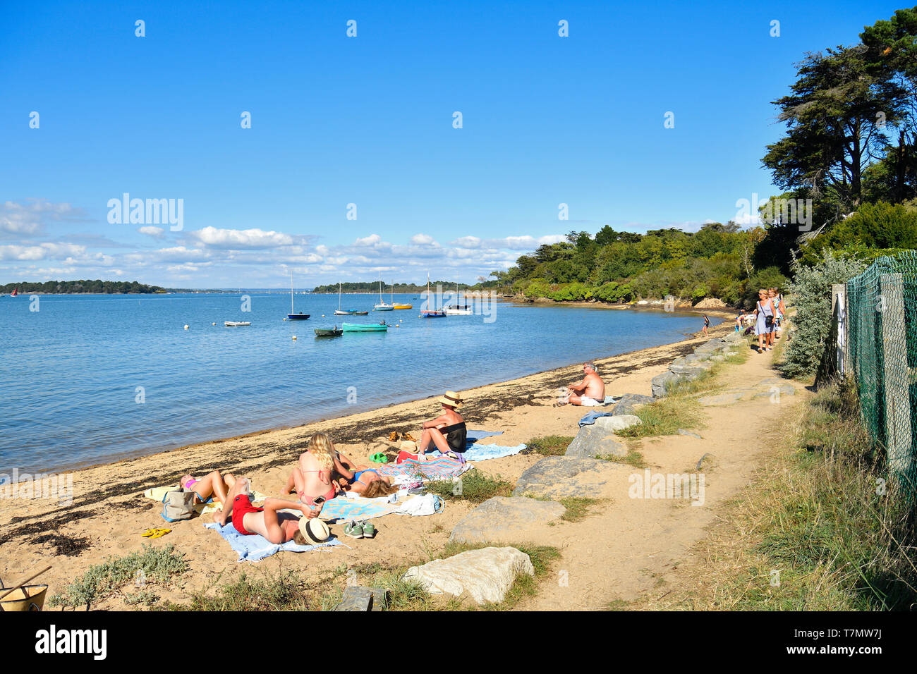 France, Morbihan, Gulf of Morbihan, Regional Natural Park of the Gulf ...