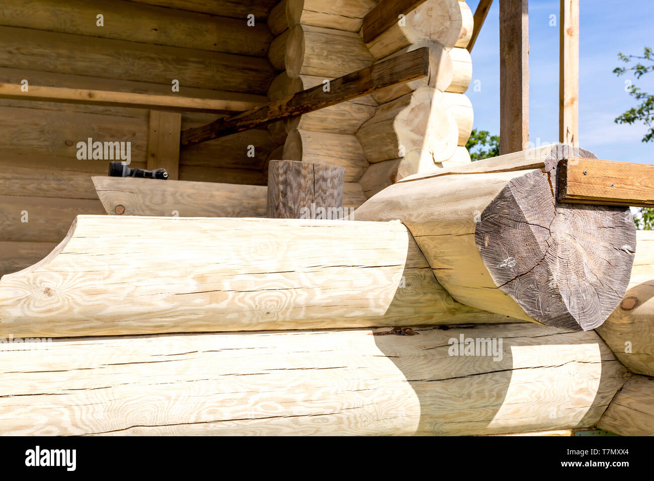 Fragment of the construction of a wooden house made of round logs ...