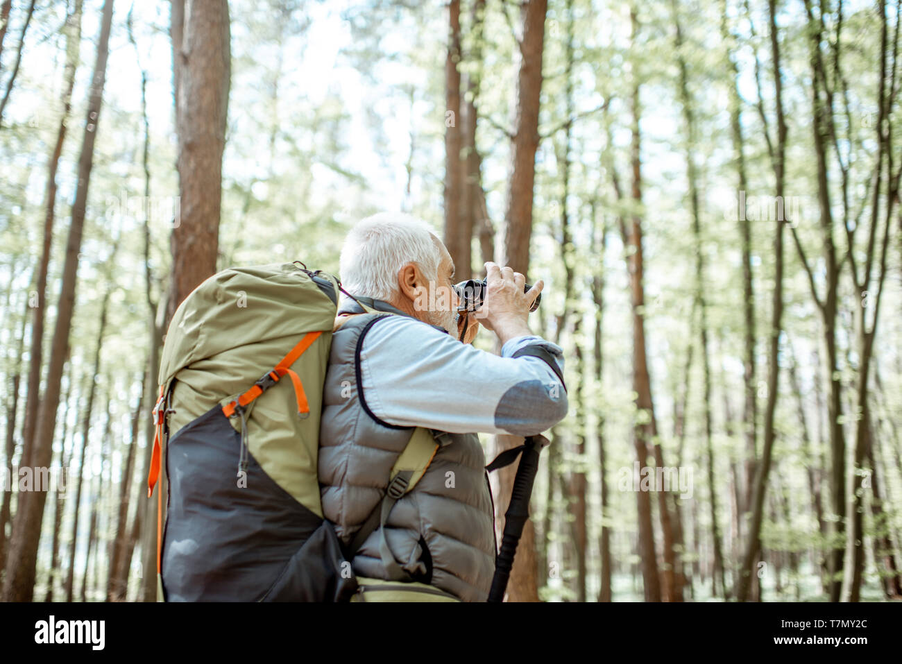 Retired man walking in forest hi-res stock photography and images - Alamy