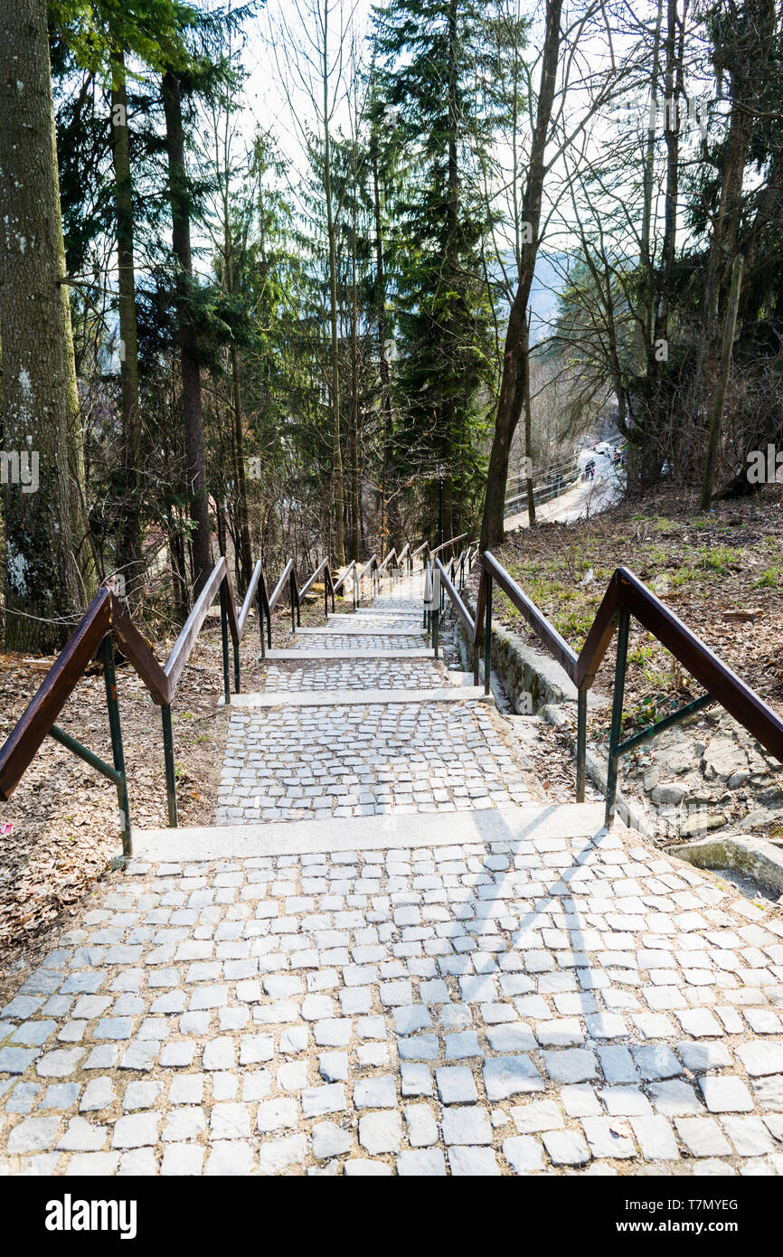 Outdoors stairs going down, cubic stone paved and wood handrail ...