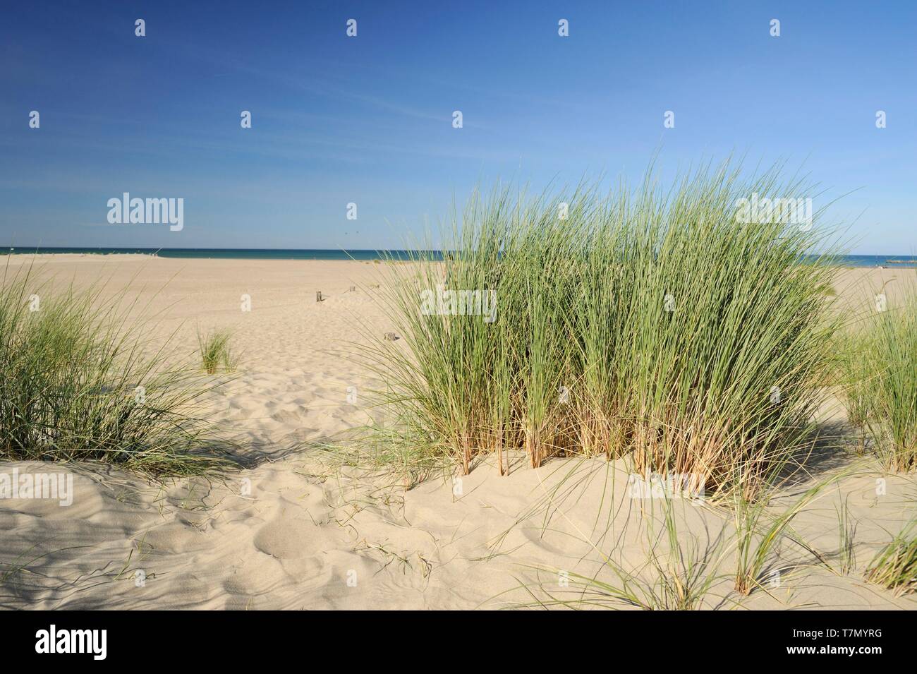 Dunkerque beach hi-res stock photography and images - Alamy