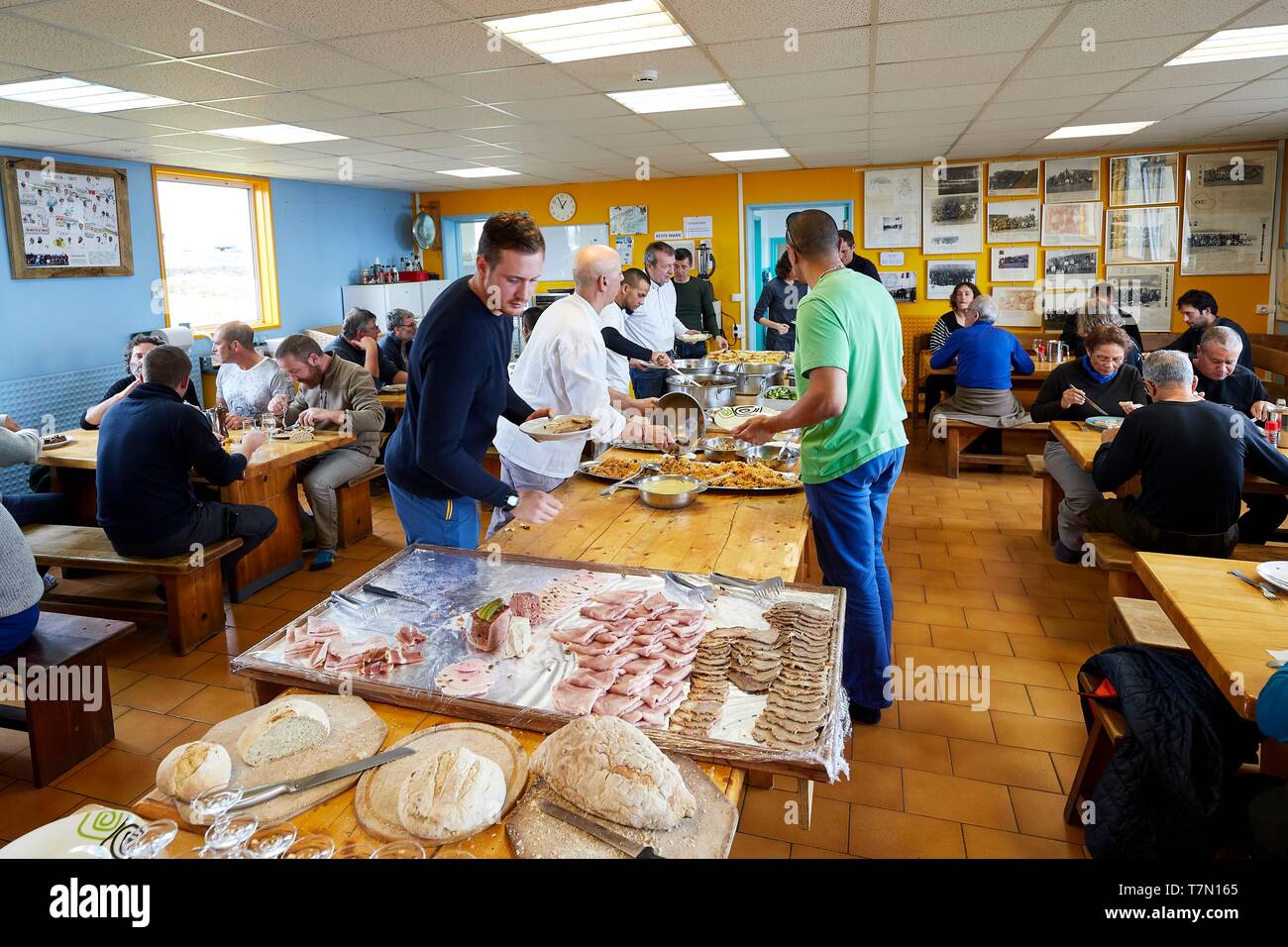 France, French Southern and Antarctic Lands, Crozet Islands, Ile de la ...