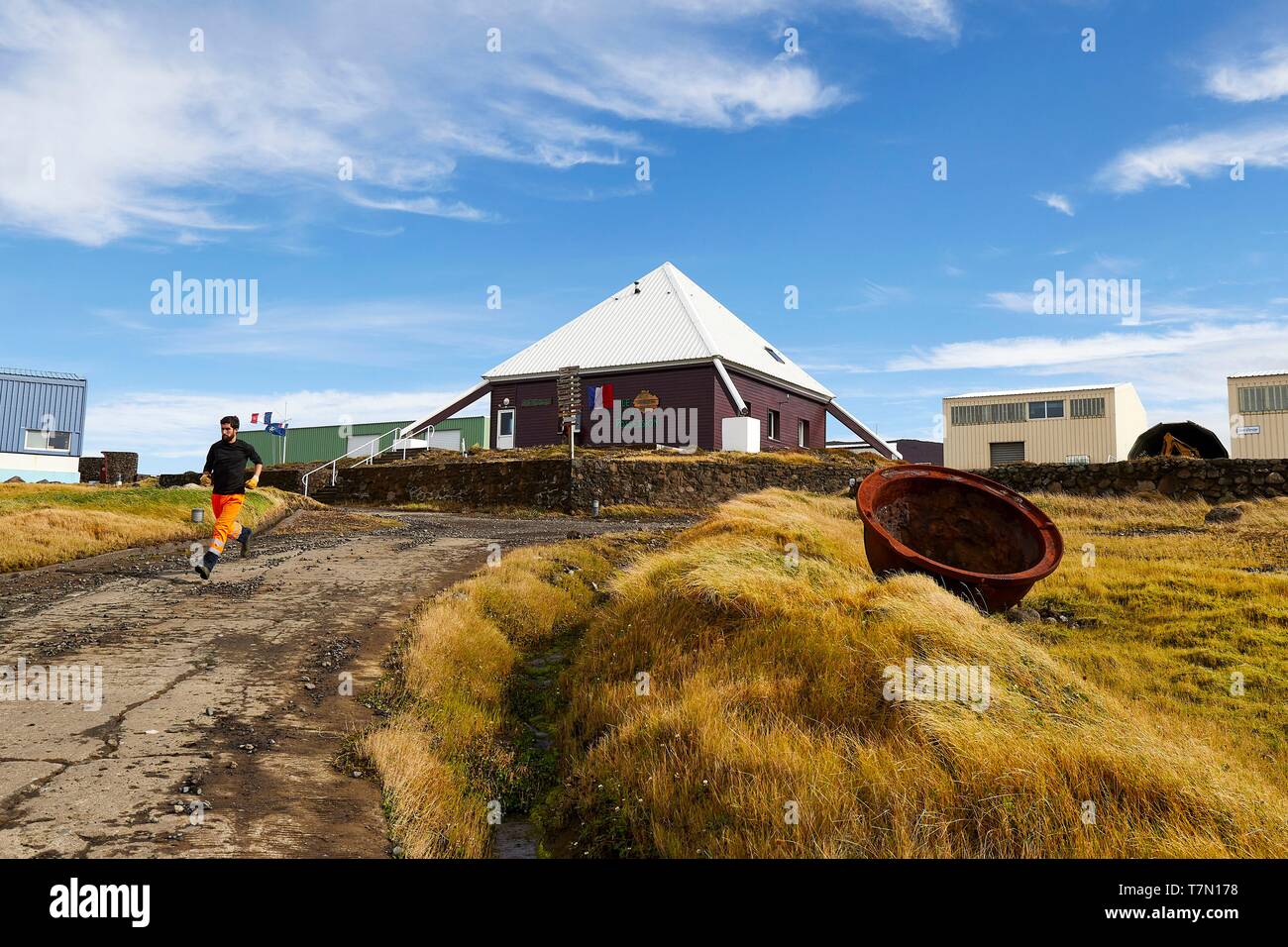 France, French Southern and Antarctic Lands, Crozet Islands, Ile de la ...
