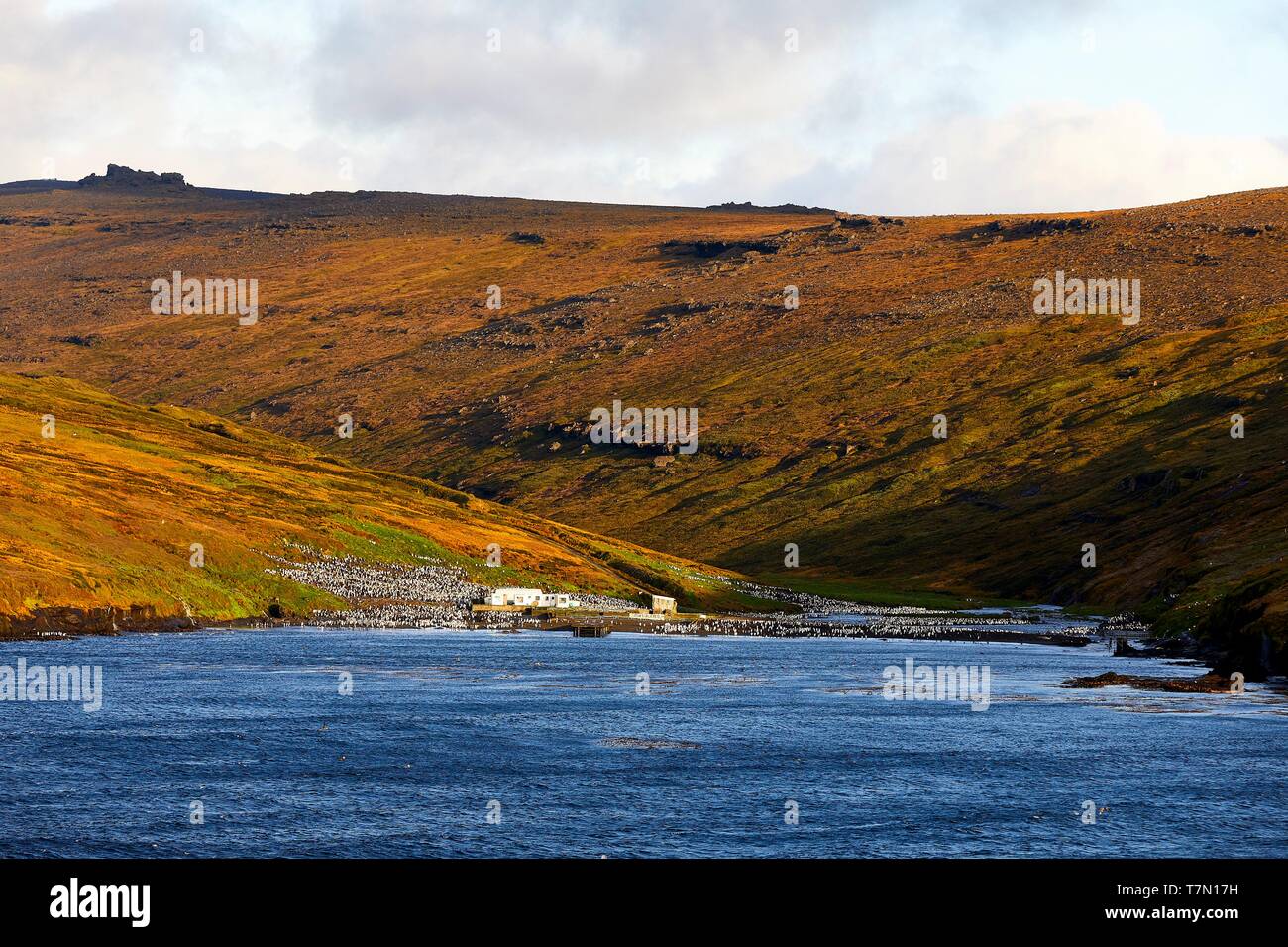 Crozet Islands