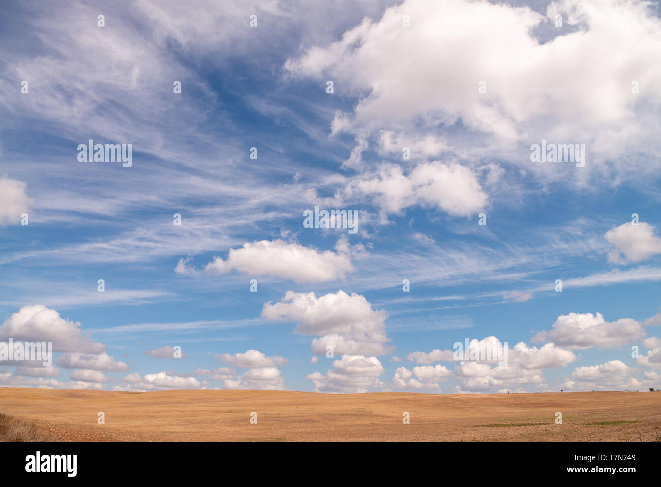 Meado hi-res stock photography and images - Alamy