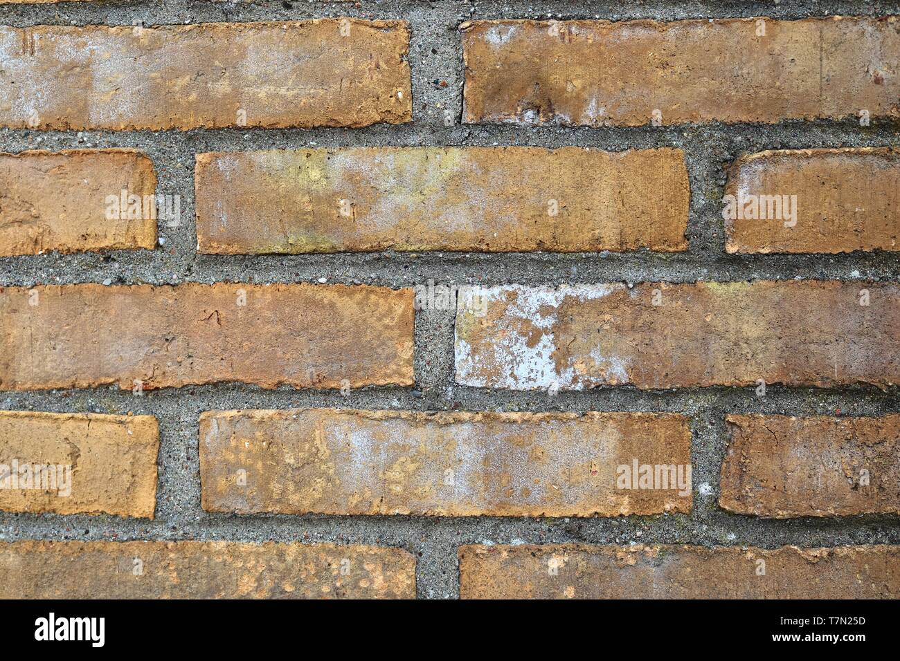 Detailed close up of colorful aged and weathered brickwall in high ...