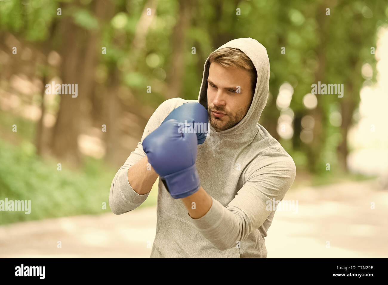 Sharpen his skill. Sportsman concentrated training boxing gloves ...