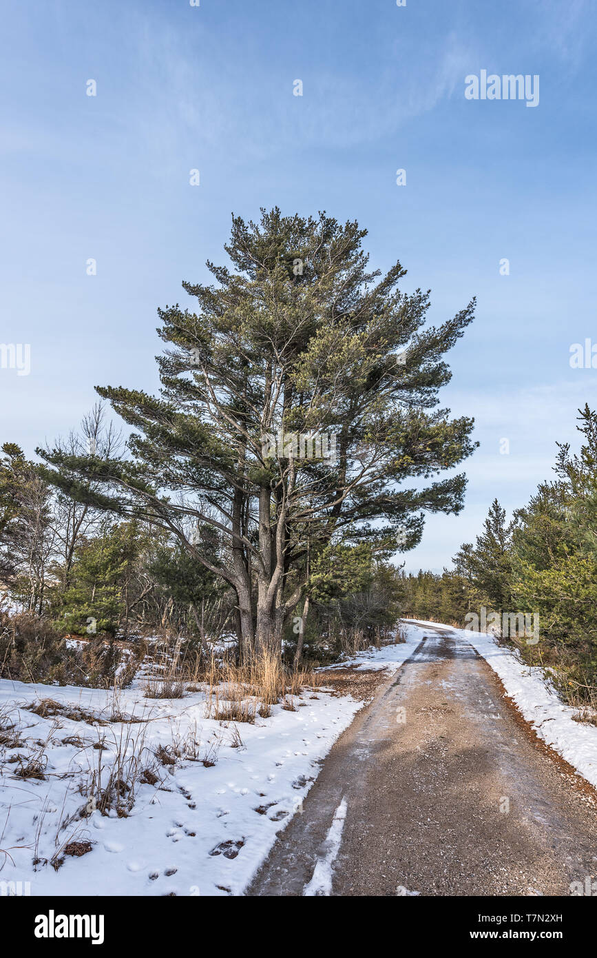Divided Highway Sign Stock Photo - Alamy