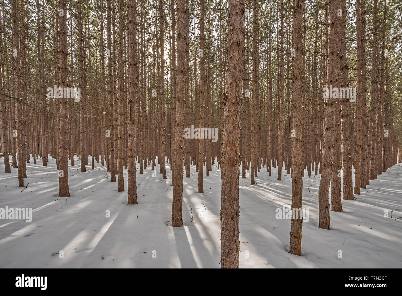 Divided highway sign hi-res stock photography and images - Alamy