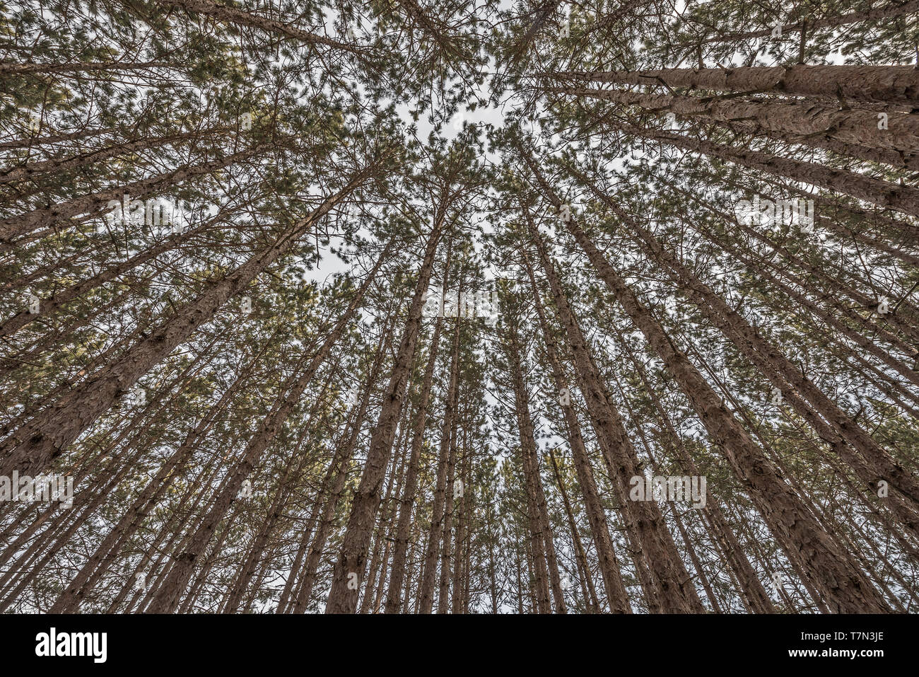 Divided Highway Sign Stock Photo - Alamy