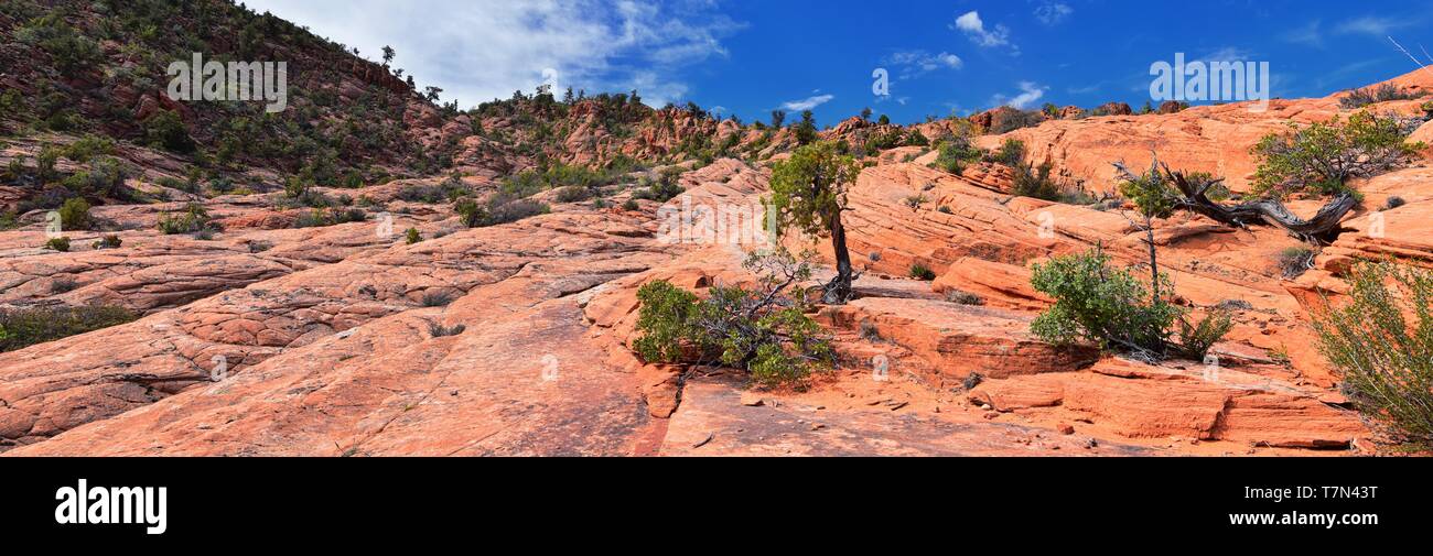 Lava Cliffs High Resolution Stock Photography and Images - Alamy