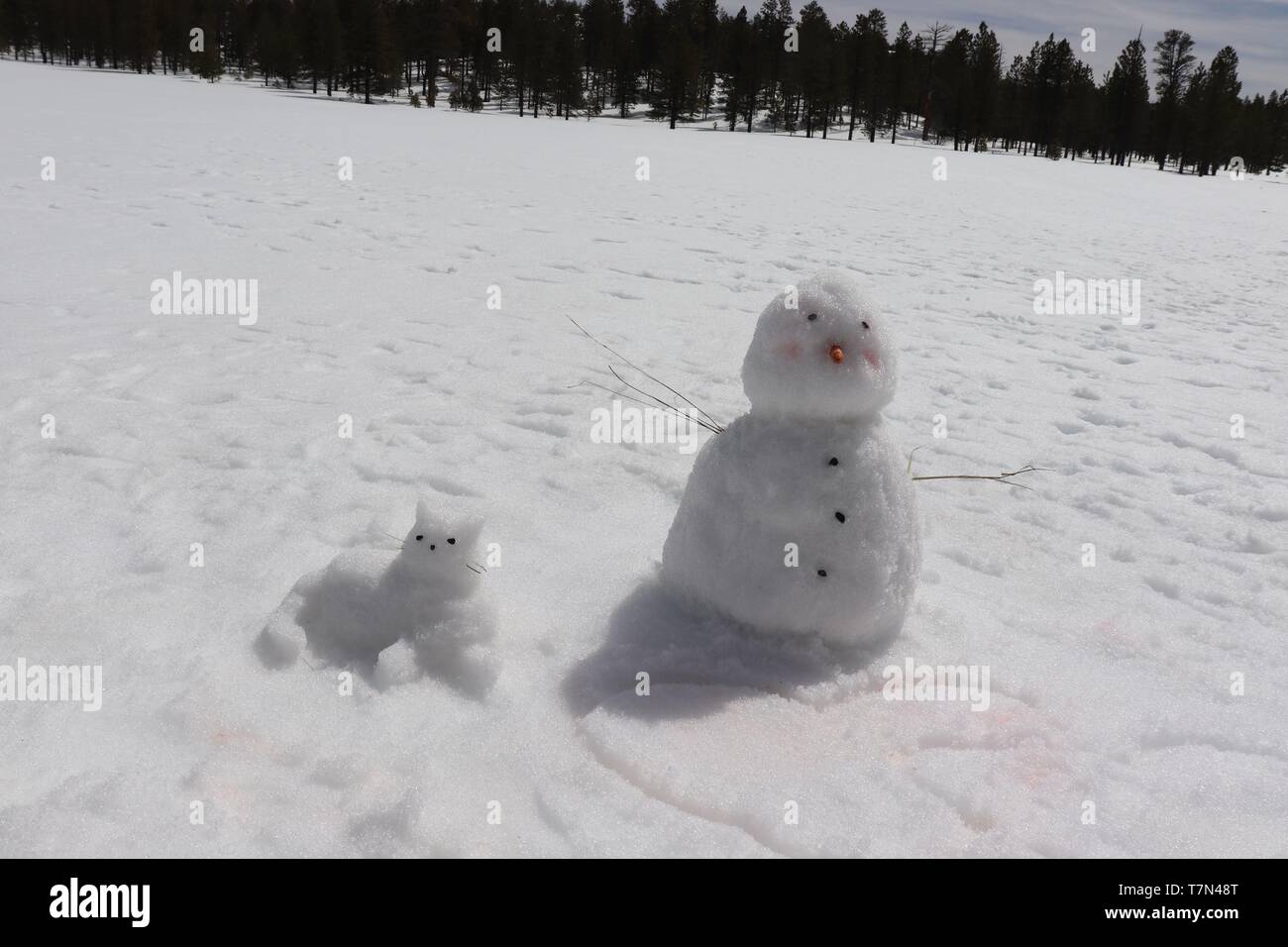Snowman and snowkitty in the great outdoors Stock Photo - Alamy
