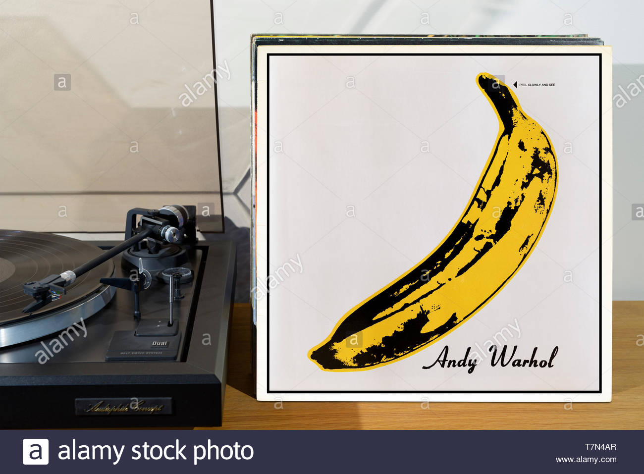 Velvet Sleeves High Resolution Stock Photography and Images - Alamy