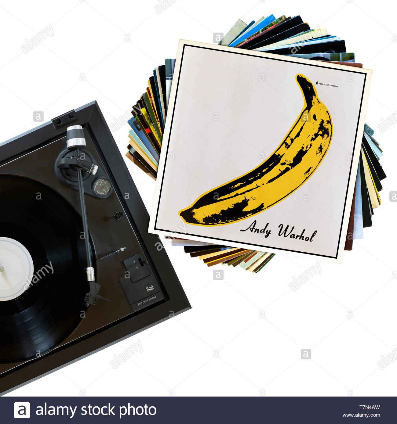 Velvet Sleeves High Resolution Stock Photography and Images - Alamy