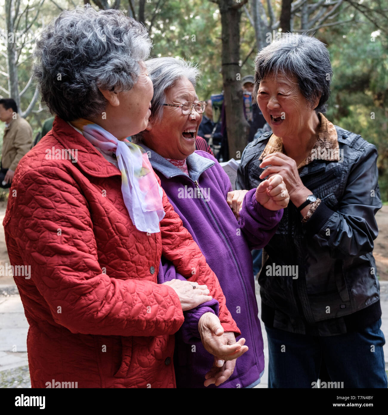 Women Laughing Out Loud High Resolution Stock Photography and Images ...