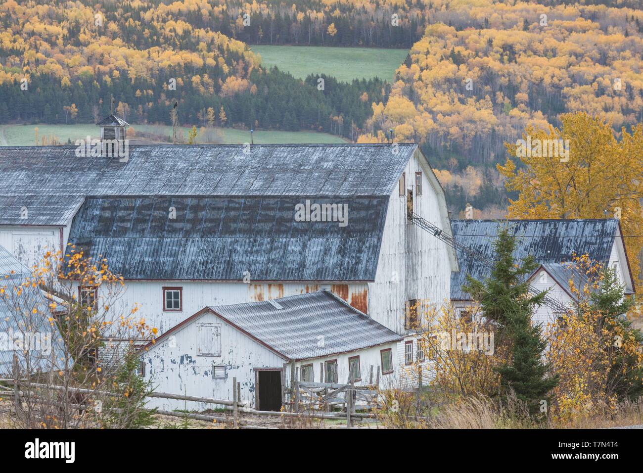Lawrence farm hi-res stock photography and images - Alamy