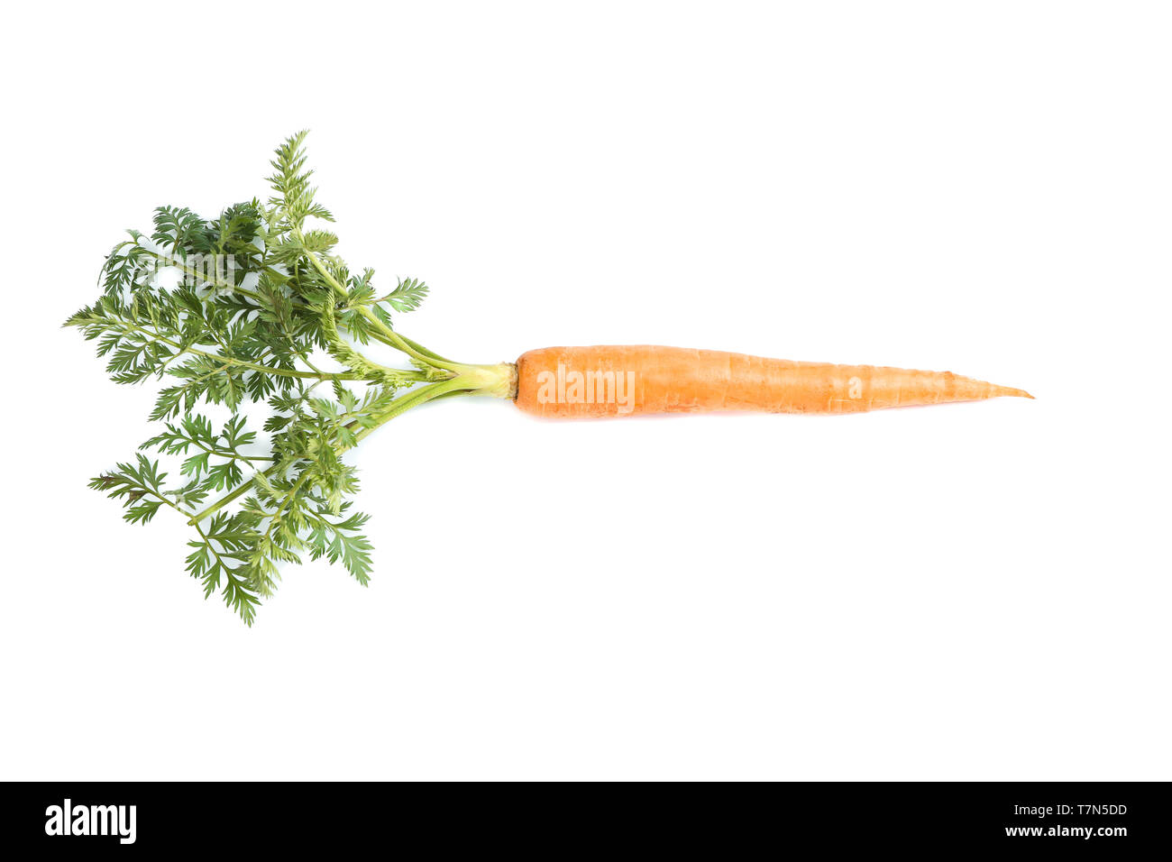 Ripe fresh carrot isolated on white background Stock Photo - Alamy