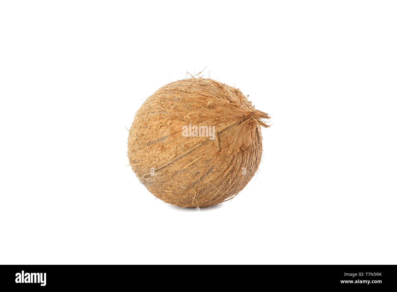 Fresh tropical coconut isolated on white background Stock Photo - Alamy
