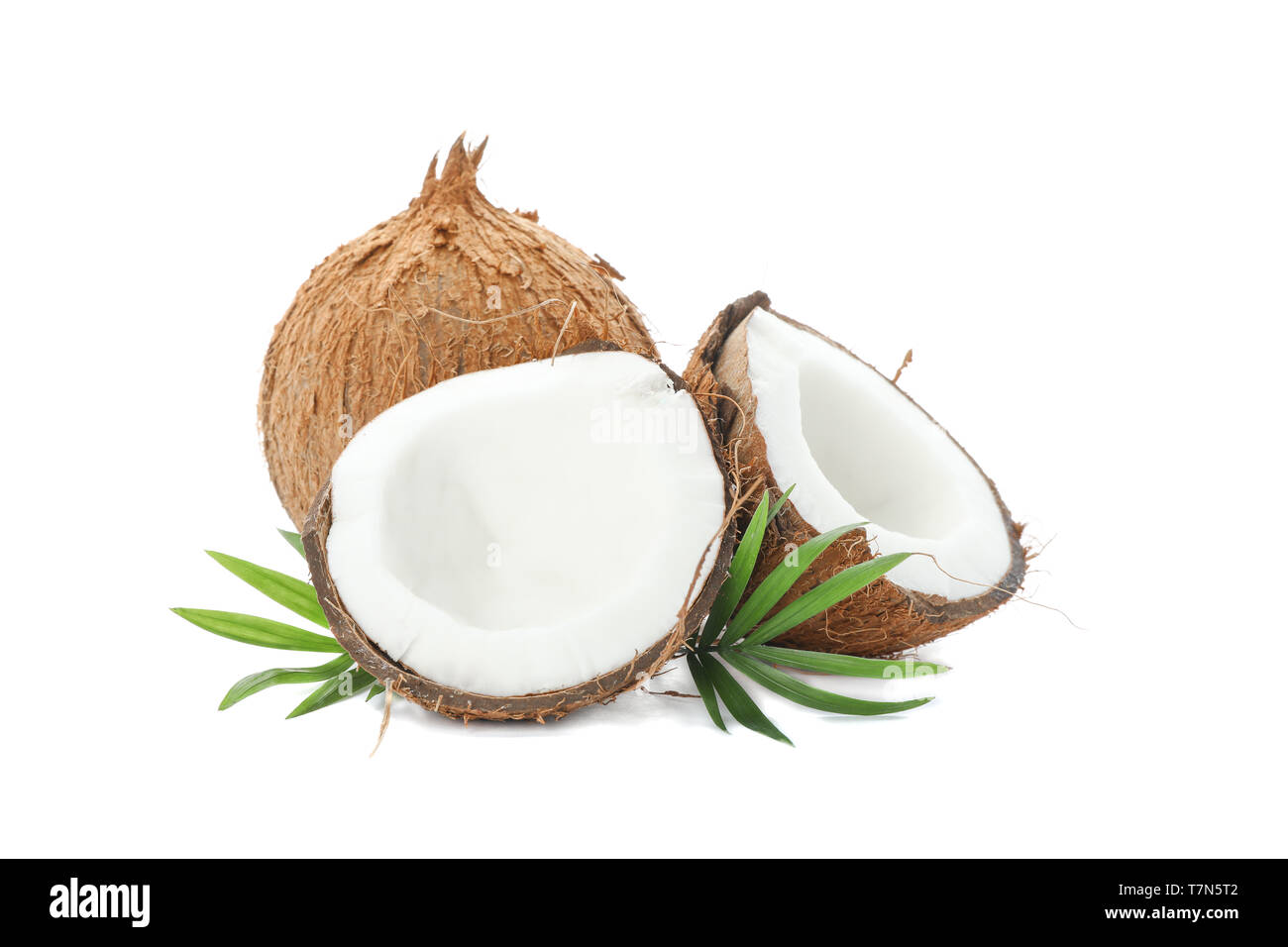 Two coconut one of which split isolated on white background Stock Photo ...