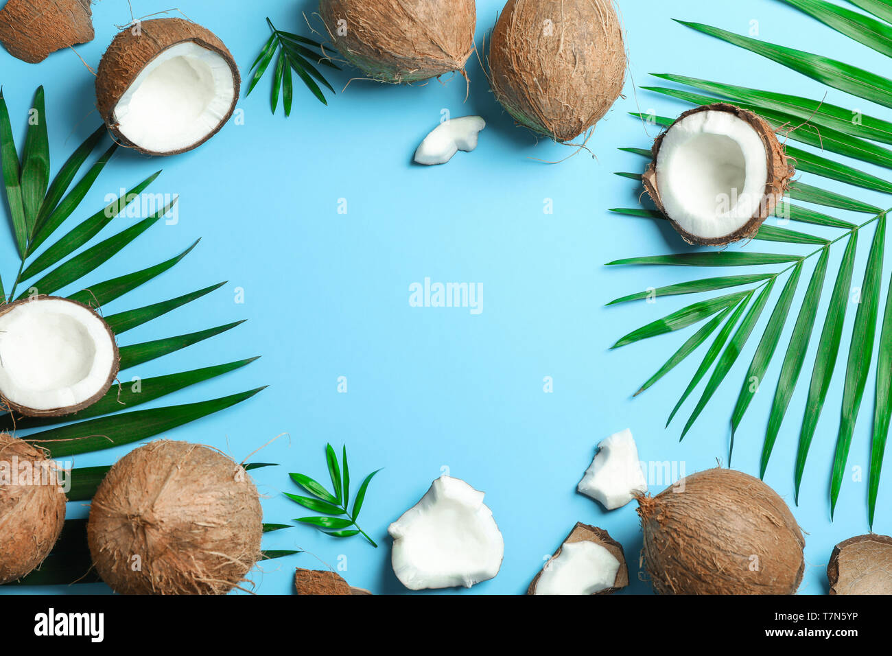 Tropical coconuts with palm branches on color background, space for ...