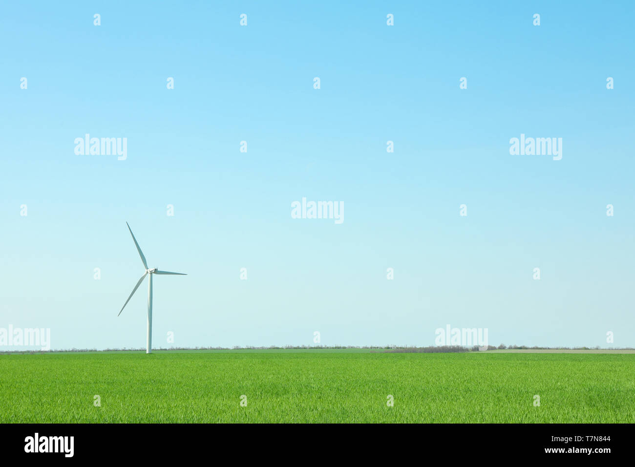 Wind turbine in a green grass field, space for text. Beautiful spring ...