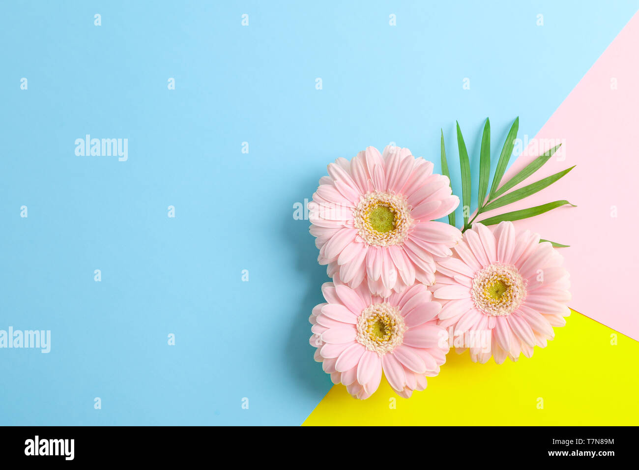 Three tone flower hi-res stock photography and images - Alamy