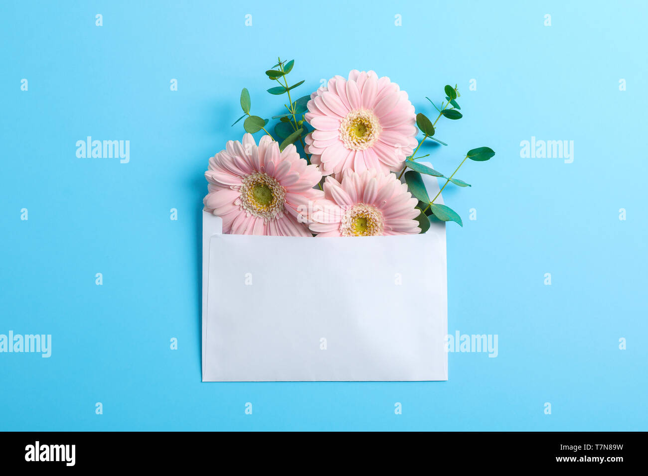 Beautiful fresh gerberas in envelope, space for text Stock Photo - Alamy