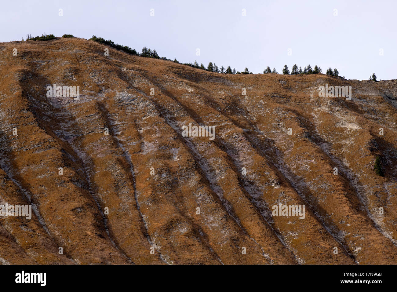 Slope covered in erosion rills karwendel mountains hi-res stock ... Slope covered in erosion rills karwendel mountains hi-res stock ...