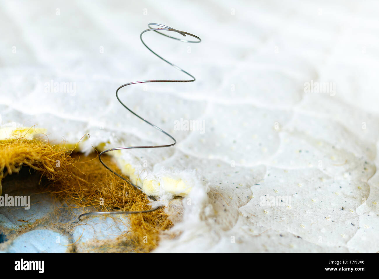 Spring in old bed mattress with pills. Hole in old dirty leaky couch ...