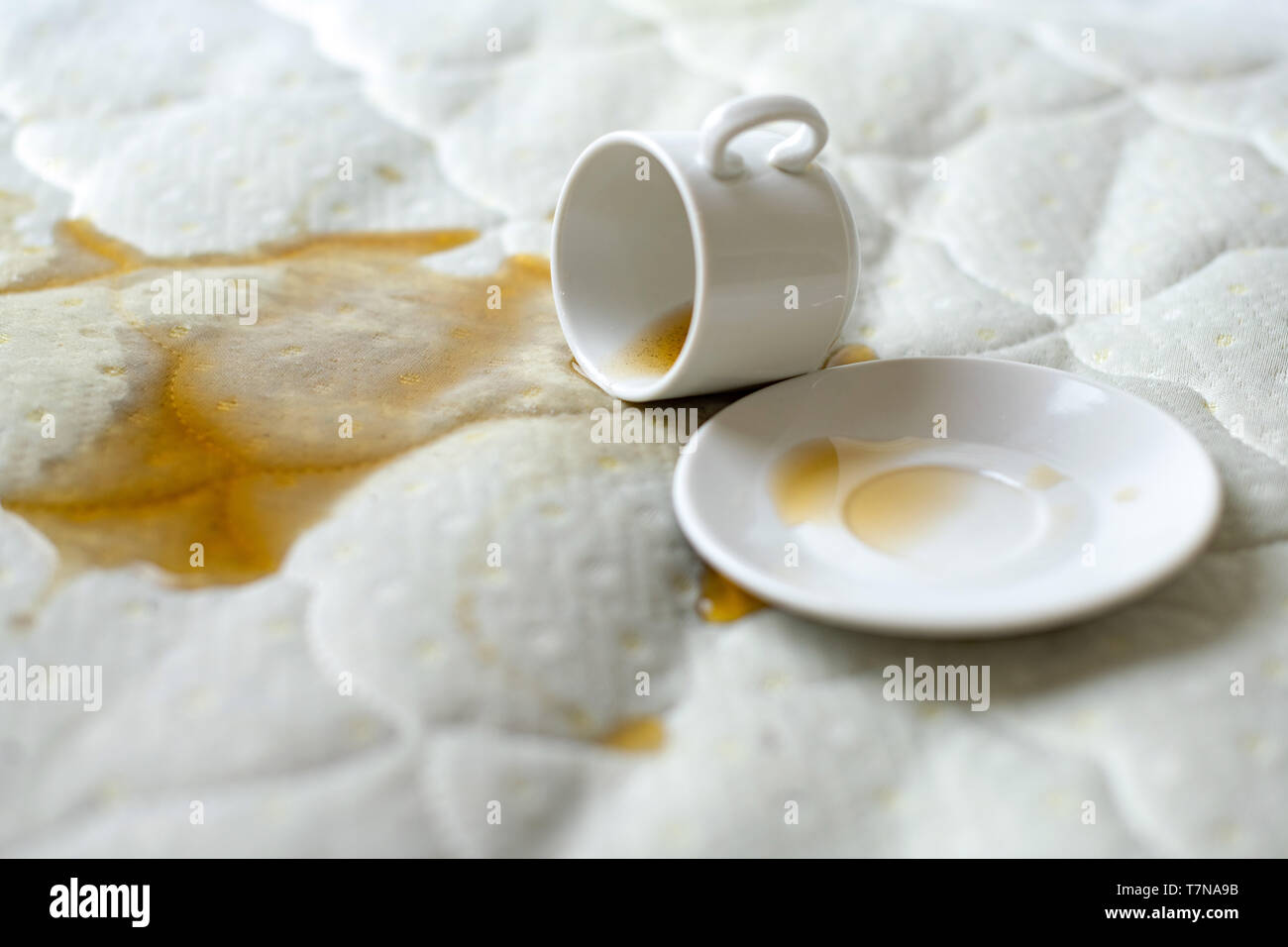 Spilled cup of tea on the bed. Accidentally dropped cup with saucer on ...