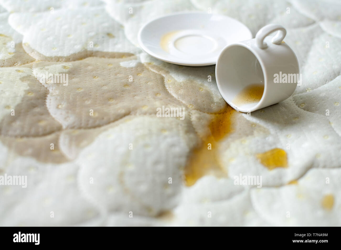 Spilled cup of tea on the bed. Accidentally dropped cup with saucer on ...