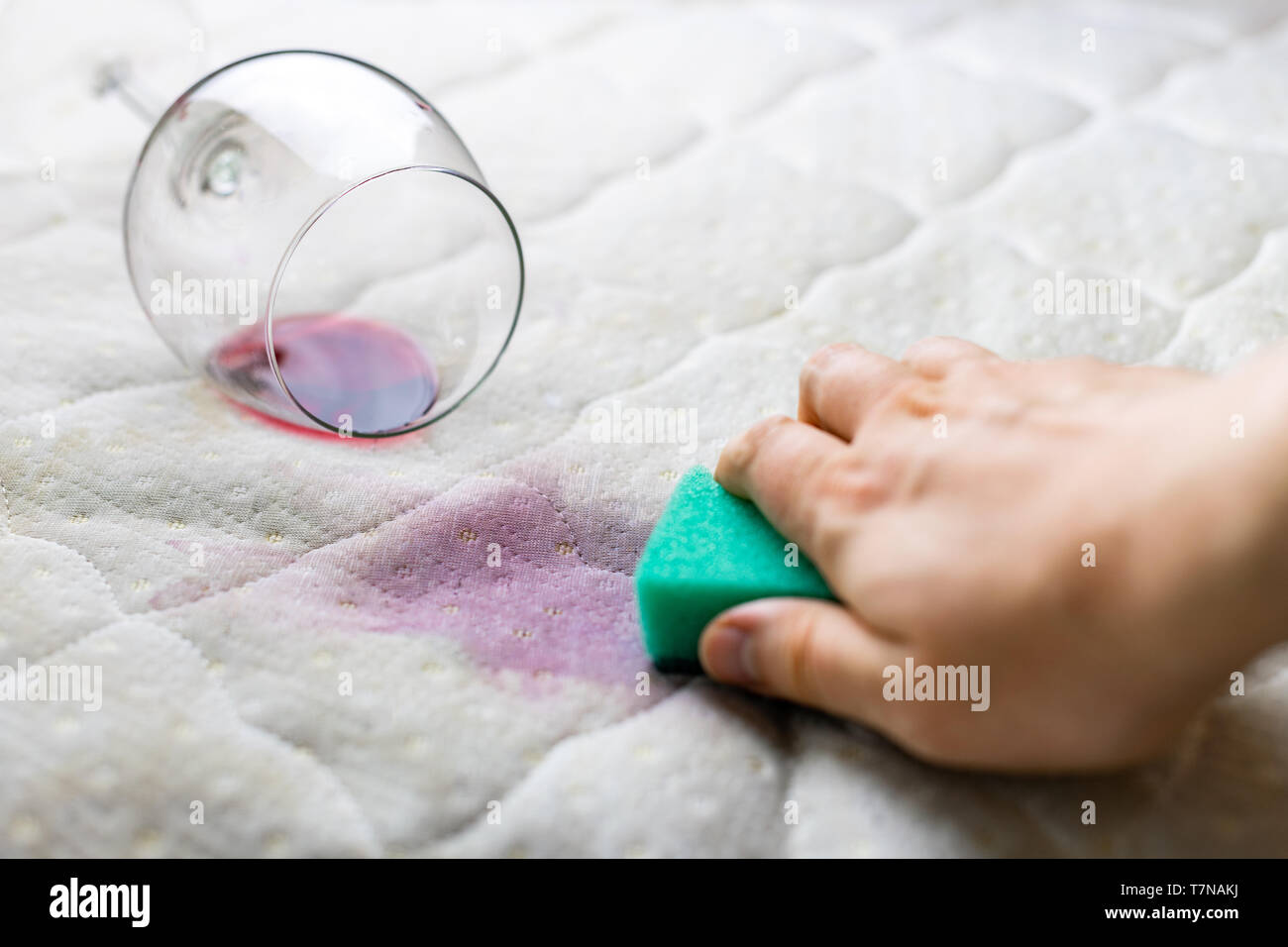 Sponge cleaning wine stain. Dropped wineglass. Spilled wine on white ...