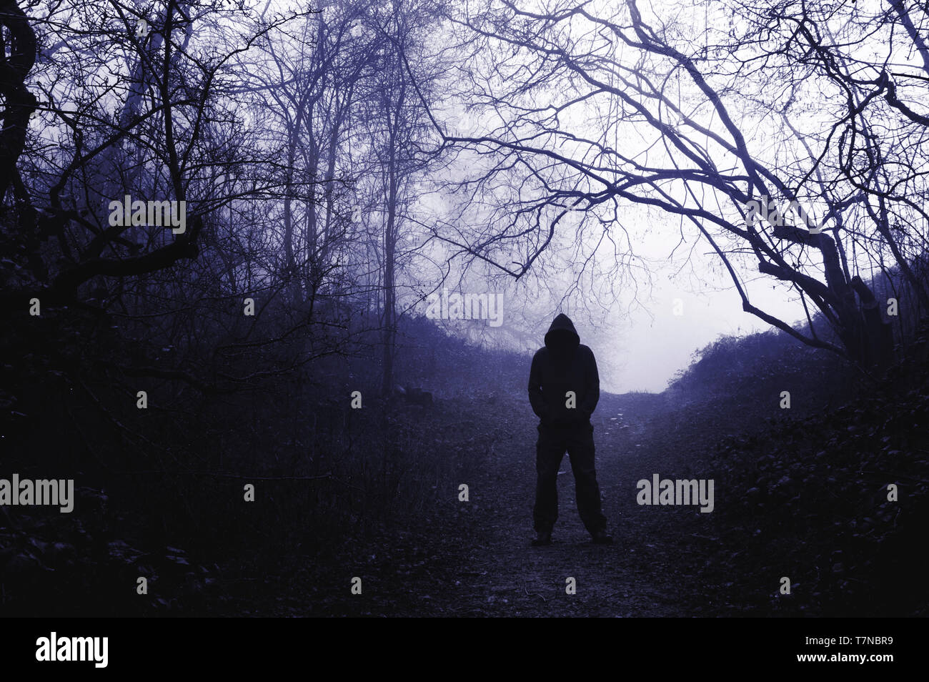 A scary hooded figure standing in a foggy woodland in winter, with a ...